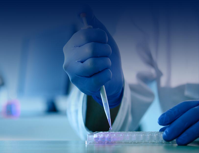 Cell Line and Sample Identification