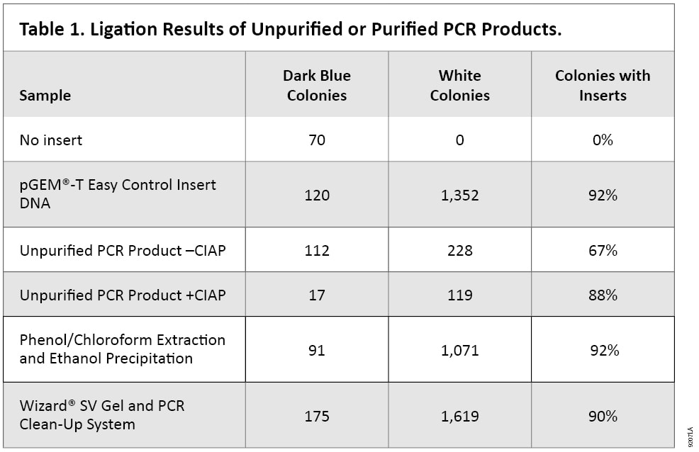 Removal of Ethidium Bromide and Calf Intestinal Alkaline Phosphatase ...